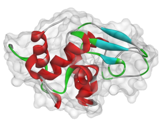 Exploration of the influence of small molecules on protein ...